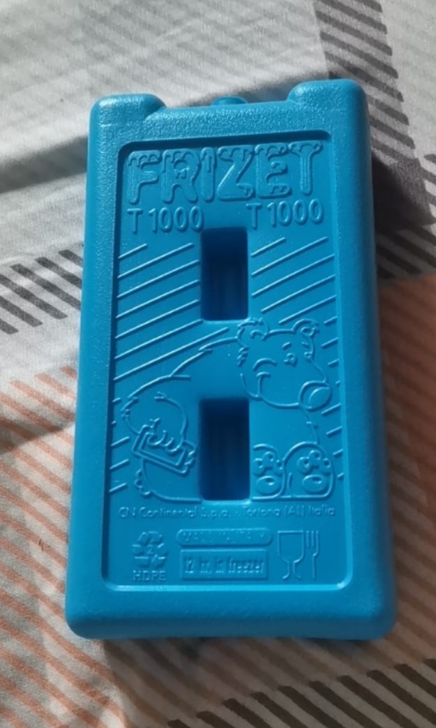 Frizet T1000 Ice Block / Ice Pack, Furniture & Home Living, Home ...