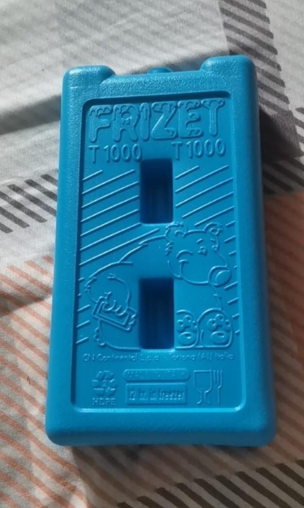 Frizet T1000 Ice Block / Ice Pack, Furniture & Home Living, Home ...