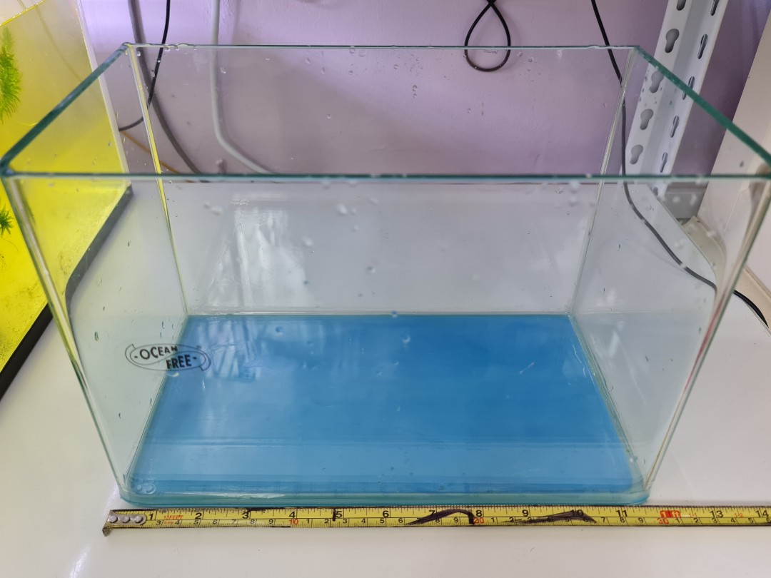 Glass fish tanks to go, Pet Supplies, Homes & Other Pet Accessories on ...