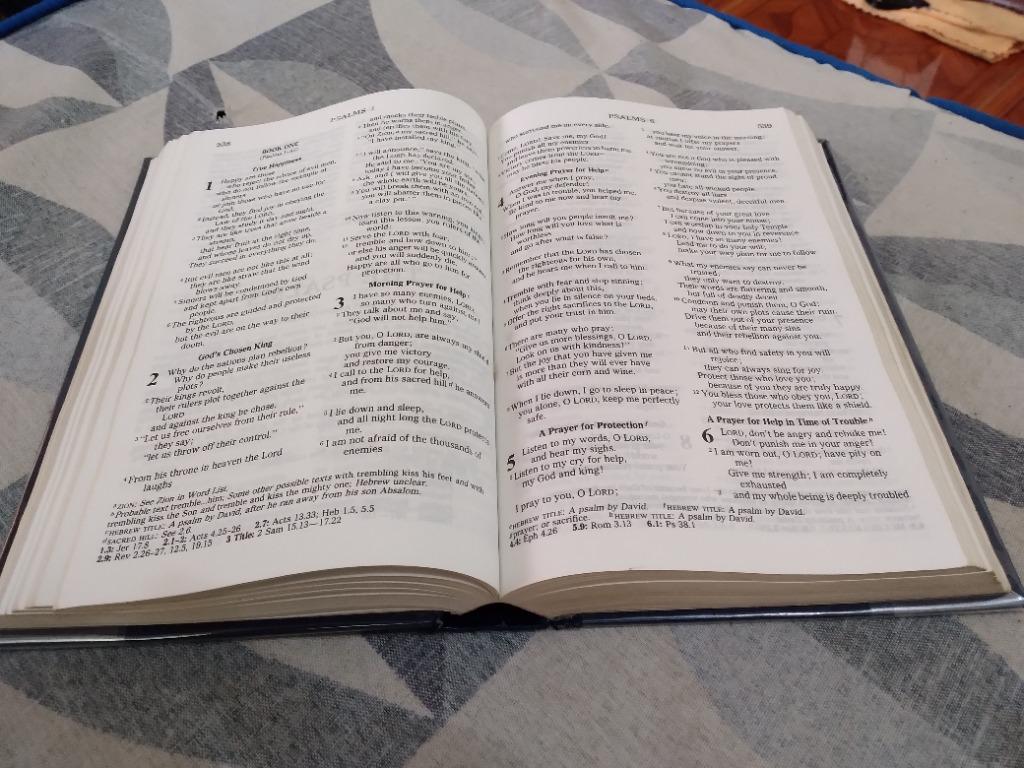 Good News Bible TEV Reader's Edition 1987, Hobbies & Toys, Books ...