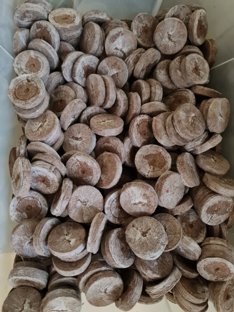 Jiffy plugs few hundred pieces, Furniture & Home Living, Gardening ...