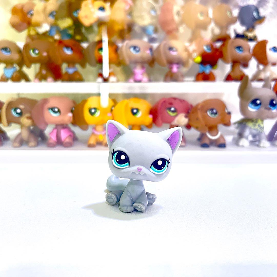 lps #2185 sitting shorthair cat littlest pet shop, Hobbies & Toys, Toys ...