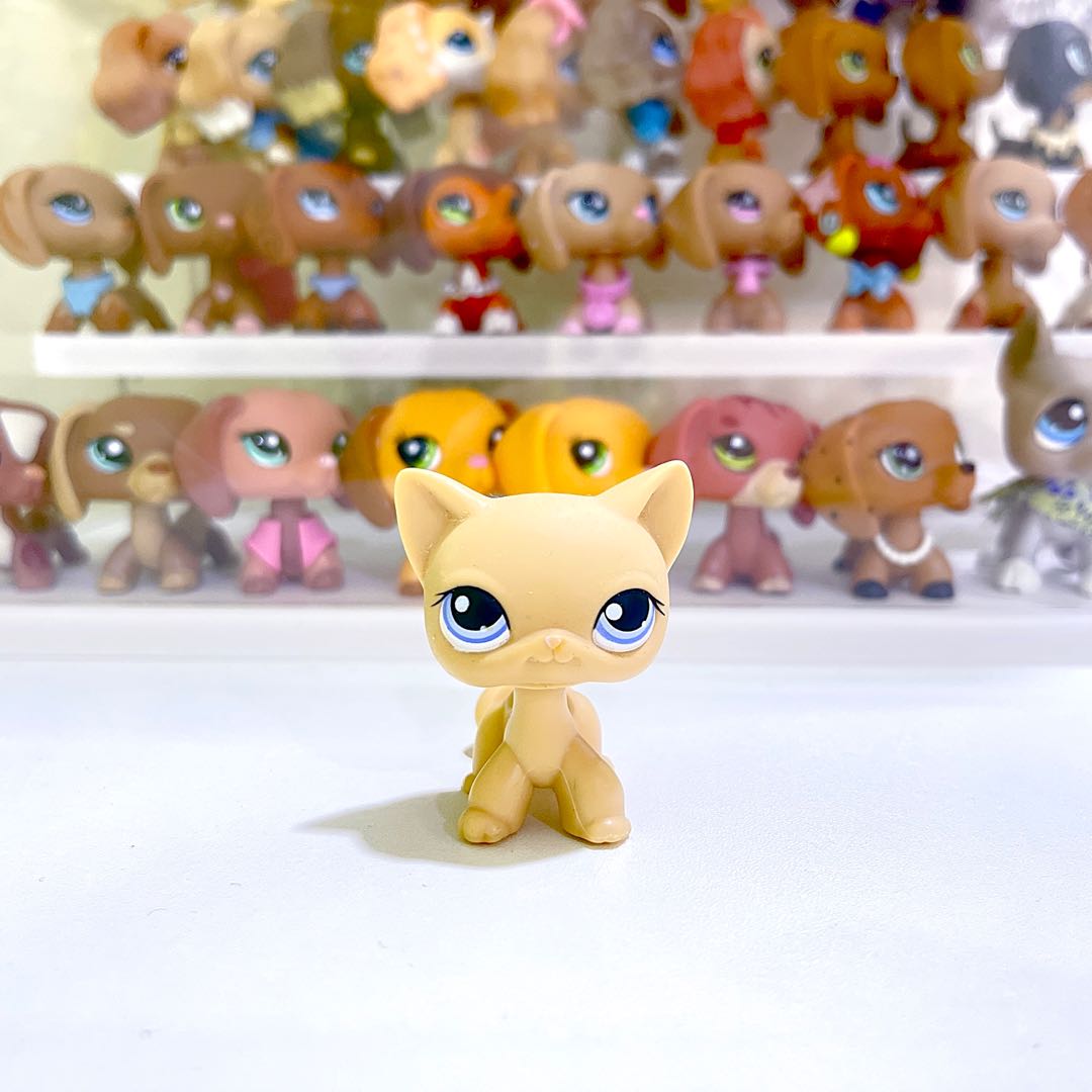 lps #318 shorthair cat littlest pet shop / custom (?), Hobbies & Toys ...