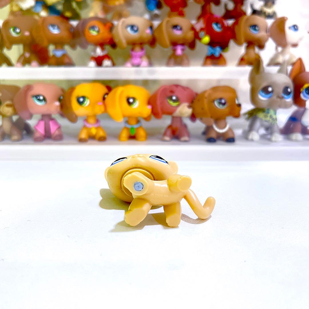 lps #318 shorthair cat littlest pet shop / custom (?), Hobbies & Toys ...