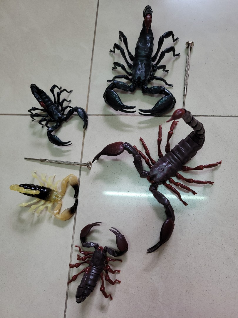 Bandai scorpion model kits 1 set, not gundam or insect, Hobbies & Toys ...