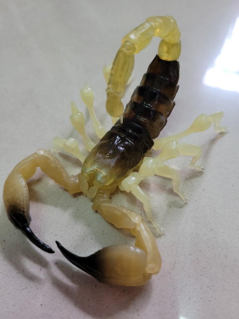 Bandai scorpion model kits 1 set, not gundam or insect, Hobbies & Toys ...