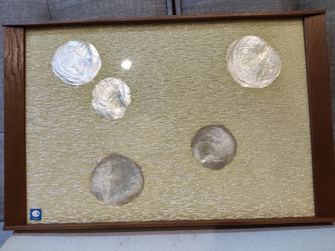 Capis Shell in Frame and japanese artwork, Hobbies & Toys, Memorabilia ...