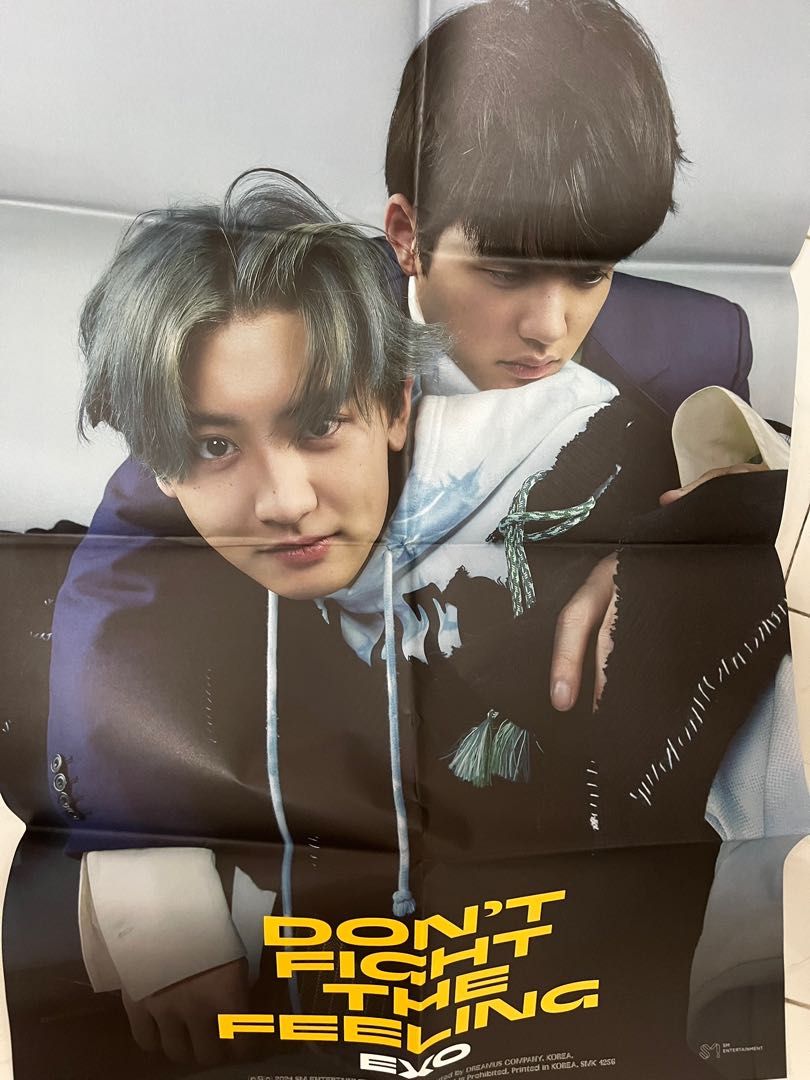 EXO DFTF posters, Hobbies & Toys, Memorabilia & Collectibles, K-Wave on ...