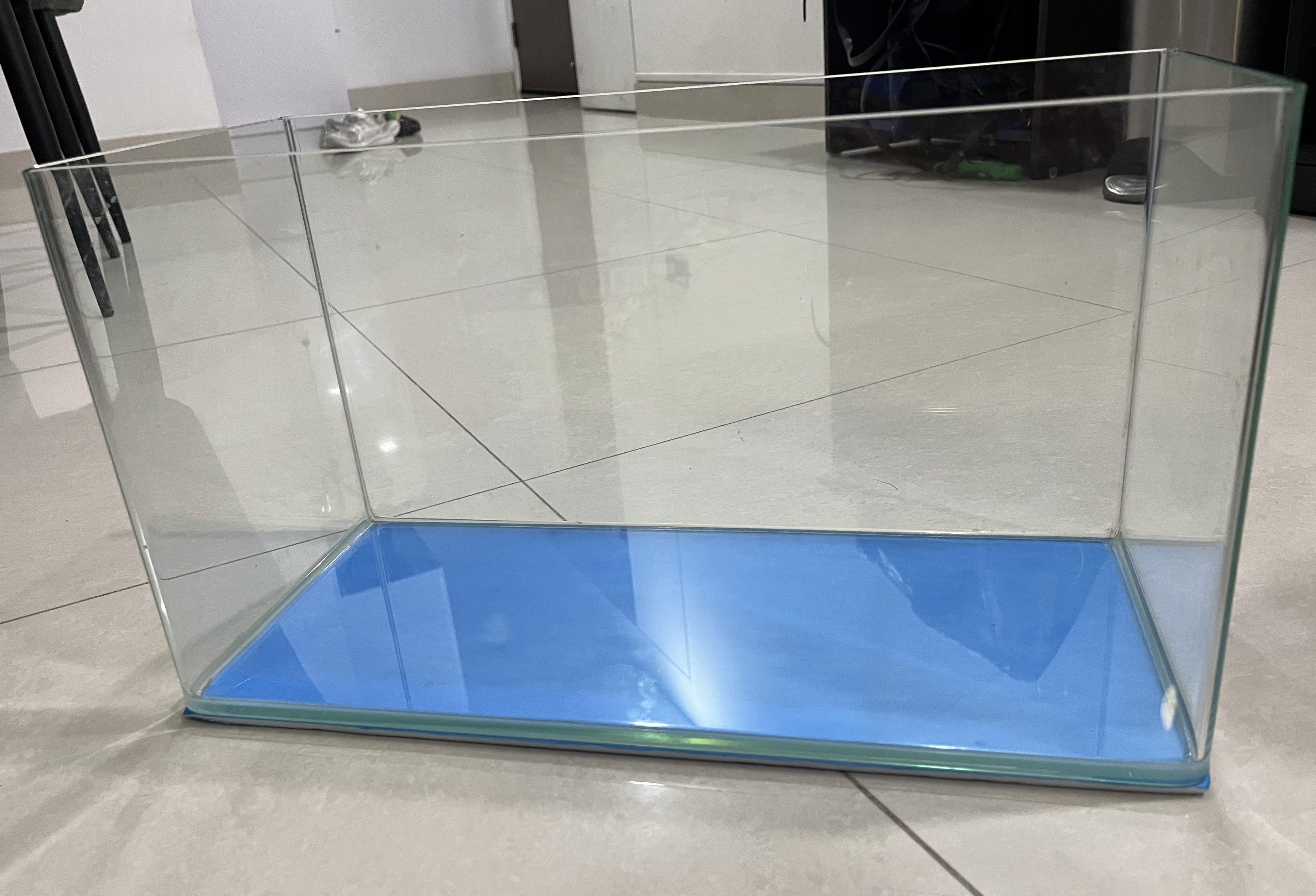 Glass fish tank (like new), Sports Equipment, Fishing on Carousell