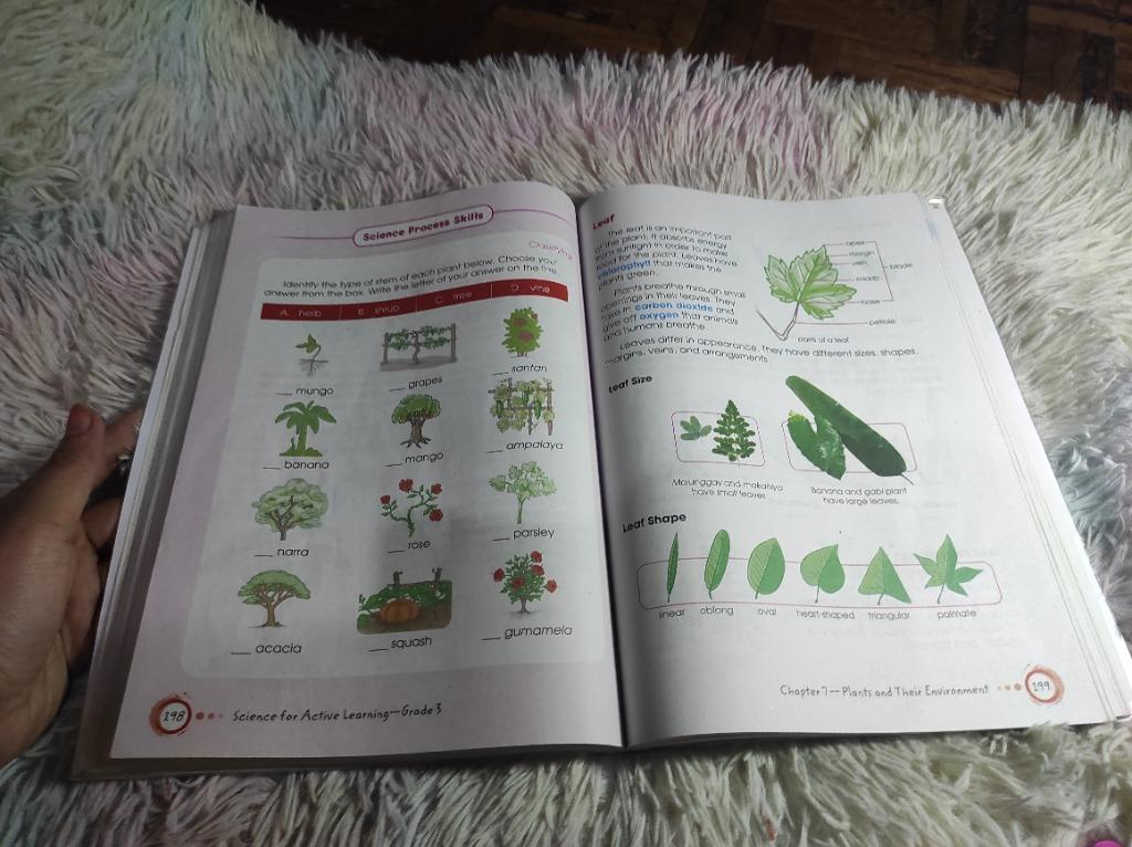 Science for Active Learning 3, Hobbies & Toys, Books & Magazines ...