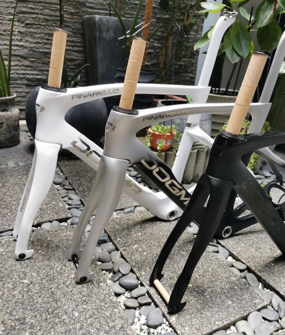 Amazing Dogma F disc frameset, Sports Equipment, Bicycles & Parts ...