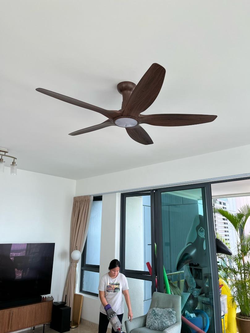 BESTAR Wifi Ceiling Fan: Rapture 48/60", Furniture & Home Living ...