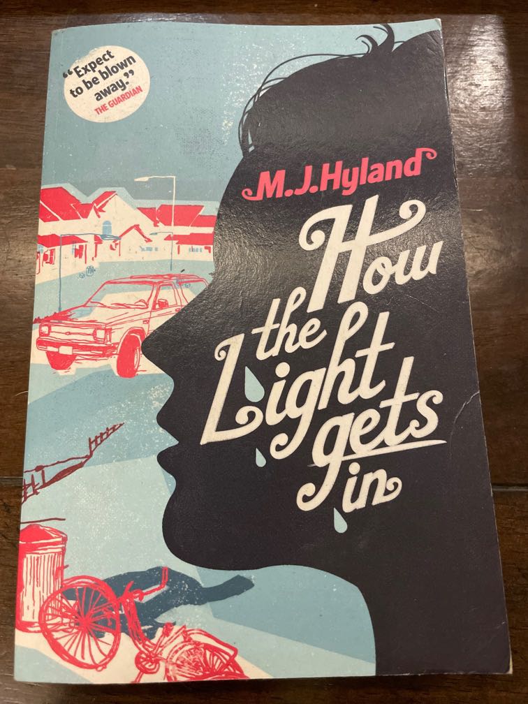 How the Light gets in by M.J. Hyland, Hobbies & Toys, Books & Magazines ...