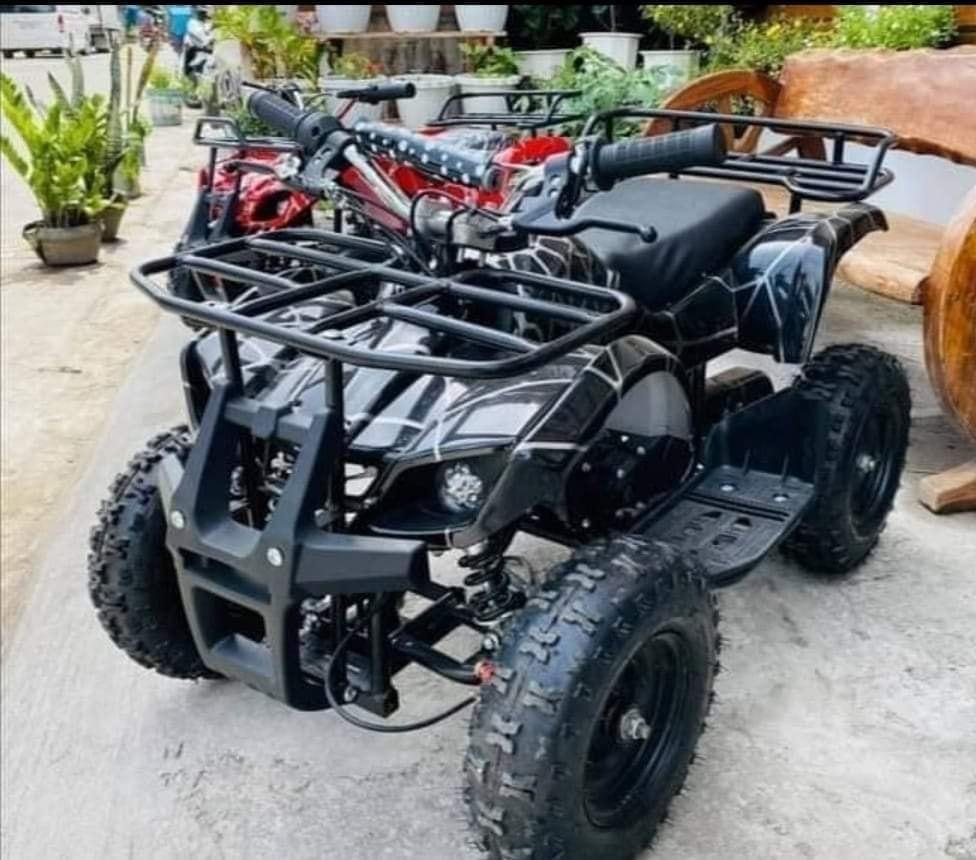 Z2z S High Quality New Kids Ride On Toy Car Titan Quad 49cc Gasoline