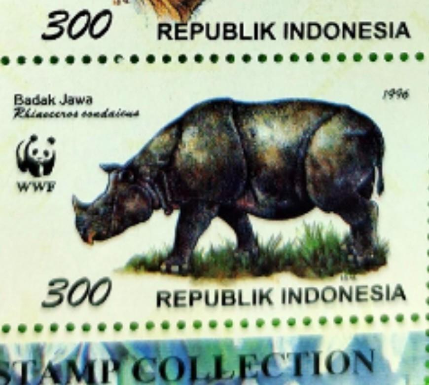 8 Perangko (1 set) seri Badak Jawa & Sumatera "WWF CONSERVATION', Antik ...