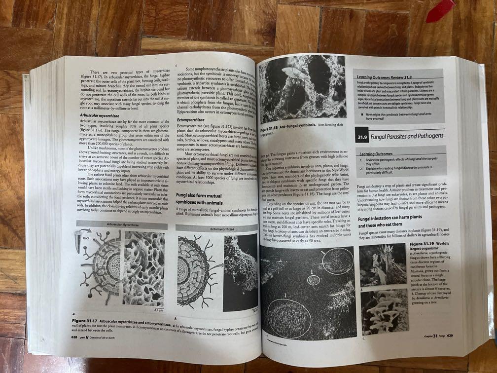 Biology (Raven, 9th Edition), Hobbies & Toys, Books & Magazines ...