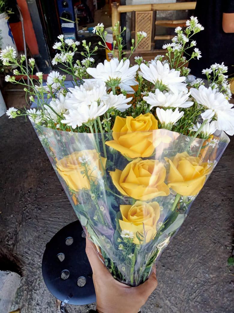 Buket bunga mawar asli dan segar cimahi bandung, Perkebunan di Carousell