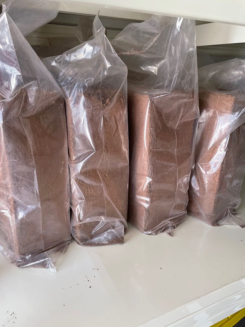 Compacted coco husk., Furniture & Home Living, Gardening, Garden Soil ...