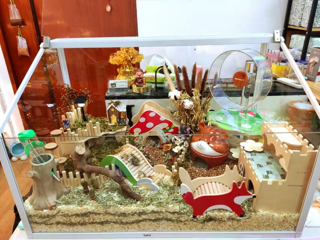 Hamster glass enclosure ( tafit), Pet Supplies, Homes & Other Pet ...