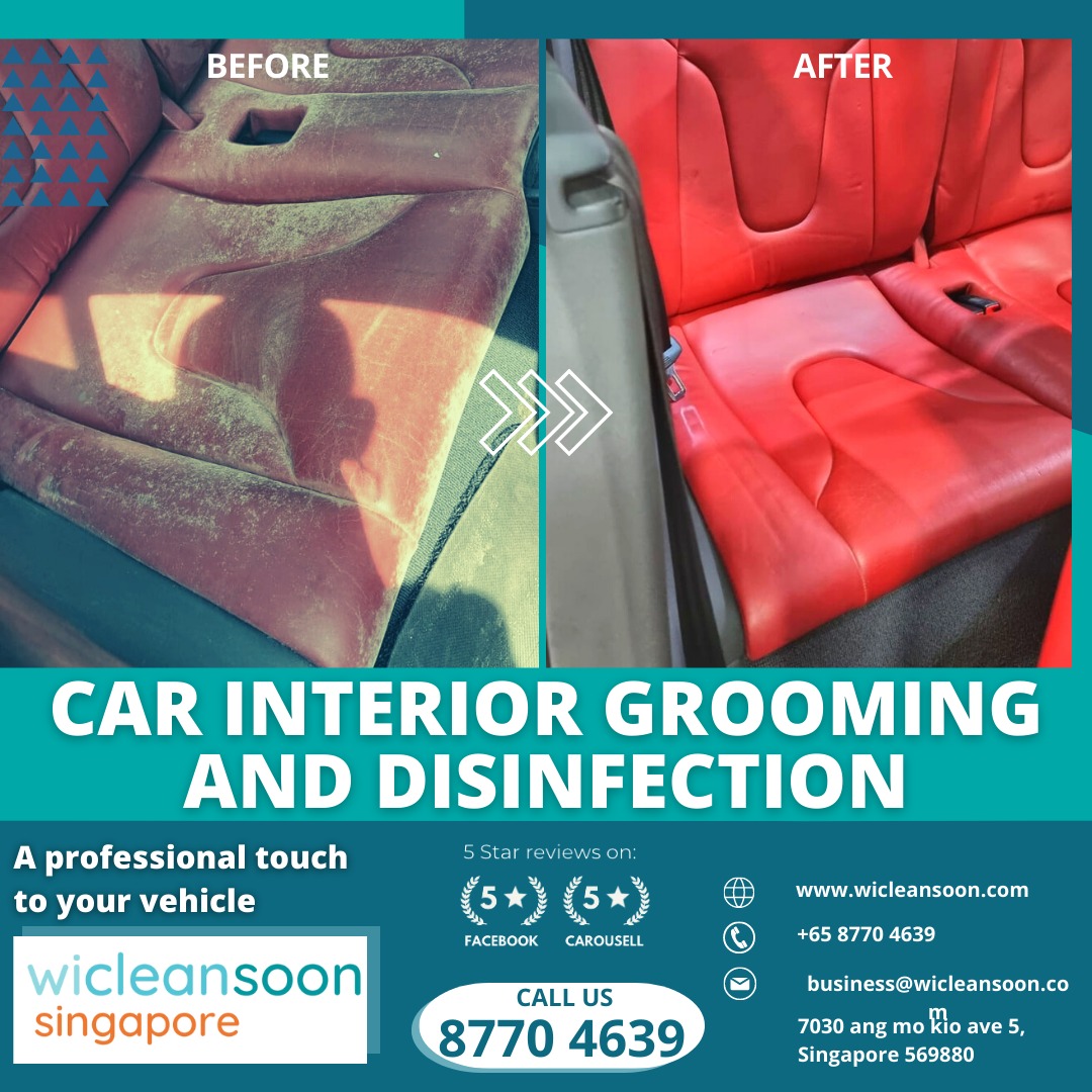 mobile car disinfection steam cleaning, pest fumigation, sanitizing ...