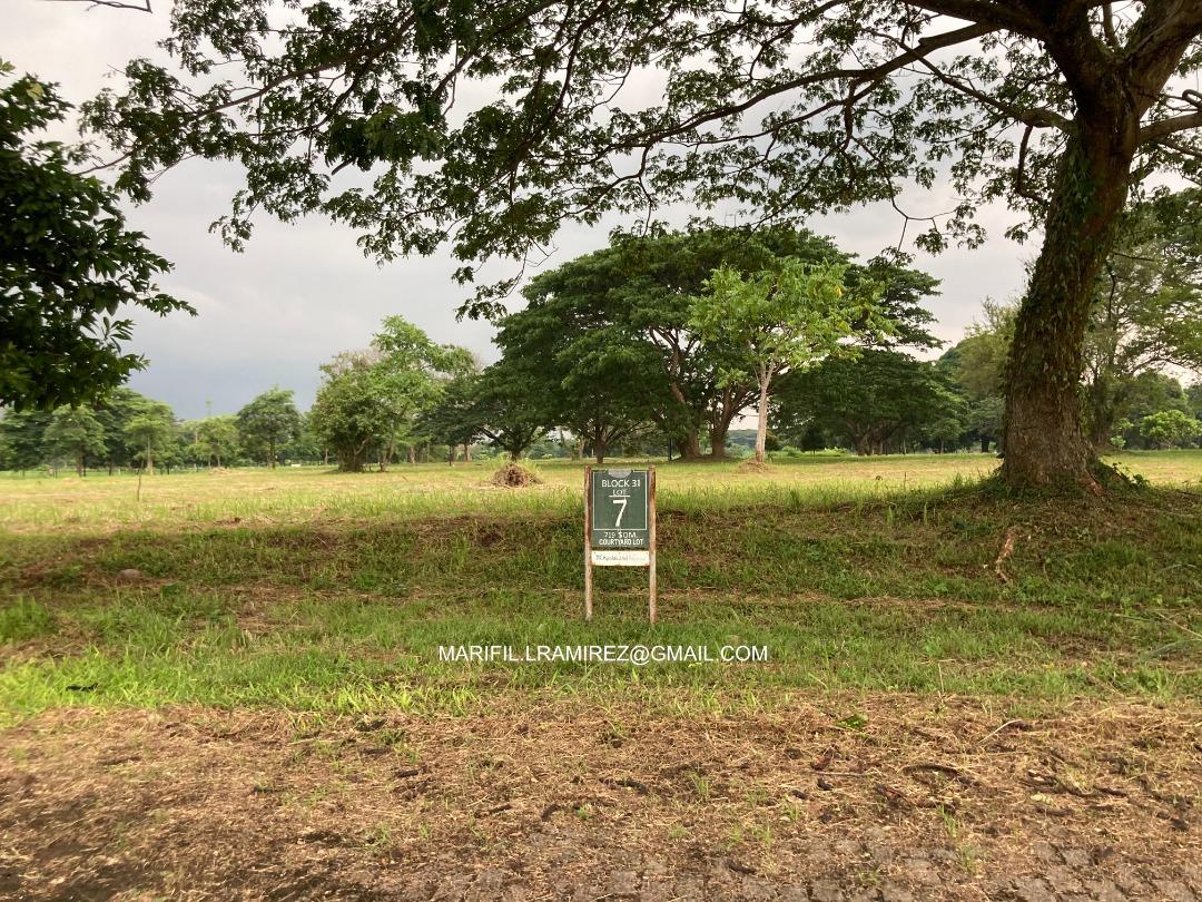 719 sqm Luscara Nuvali by Ayala Premier, Property, For Sale, Apartments ...