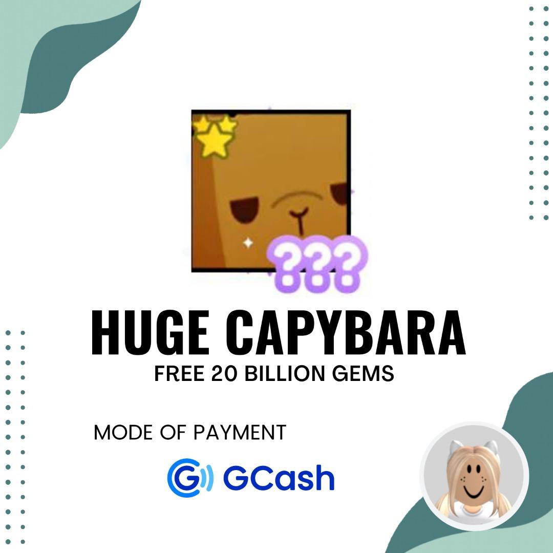 Pet Simulator X - Huge Capybara with Free 20 Billion Gems, Hobbies ...