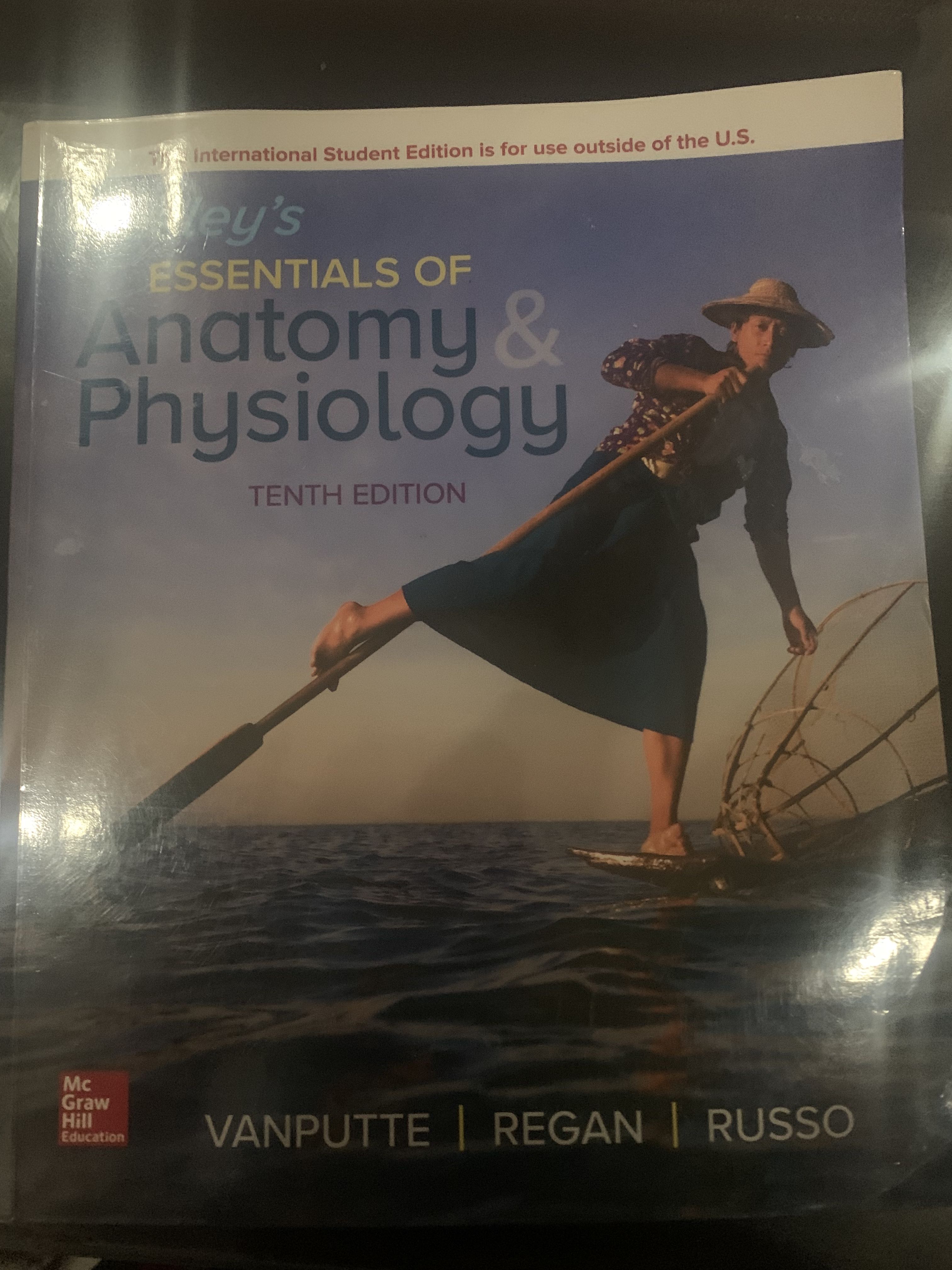 Seeleys Anatomy And Physiology 6th Edition Hobbies And Toys Books