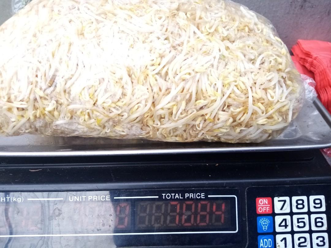 Togie, Food & Drinks, Fresh Produce on Carousell