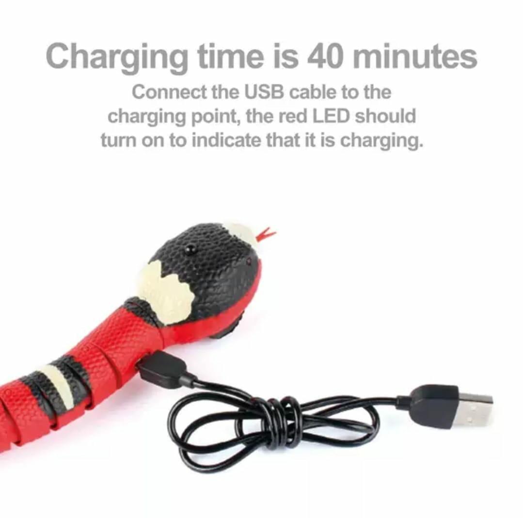 Cat Snake Toy Rechargeable Battery, Pet Supplies, Homes & Other Pet ...
