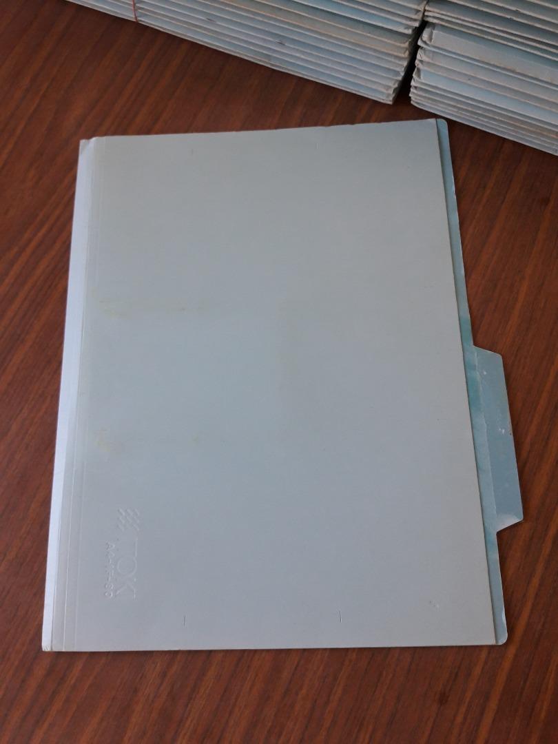 (120 pcs) Paper Inner File Folder With Tab (A4 Size), Hobbies & Toys ...