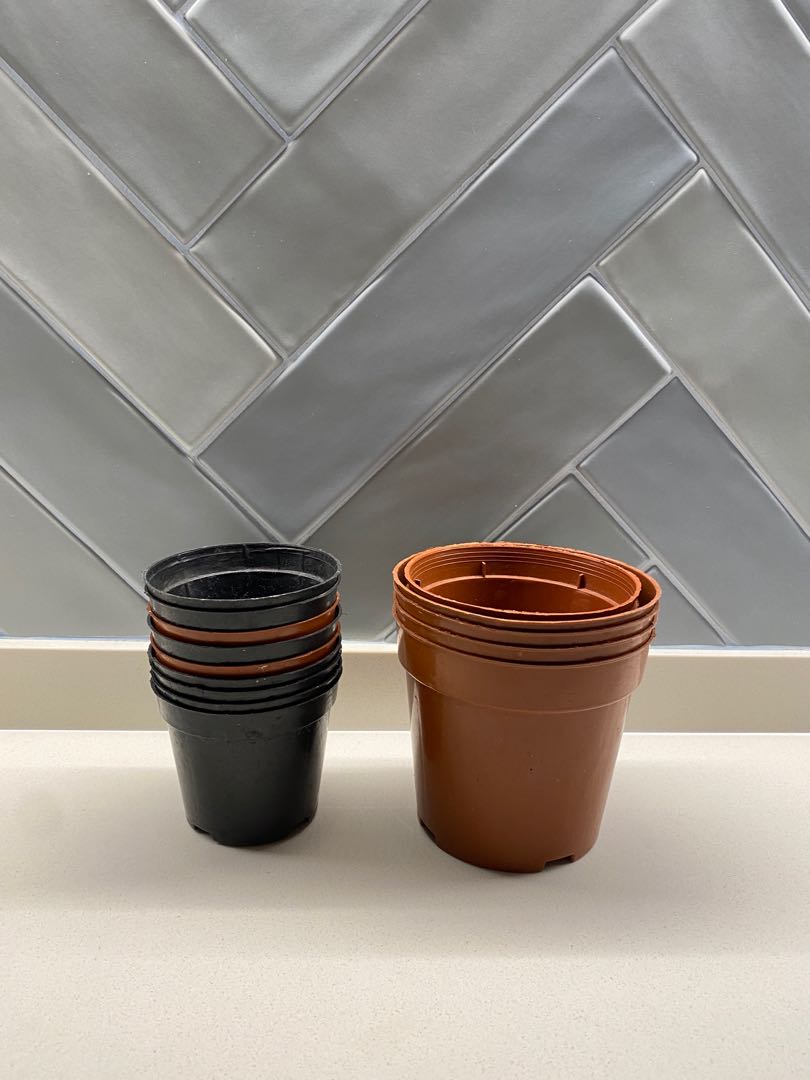 Plastic Nursery Pot for Free, Furniture & Home Living, Gardening, Pots ...