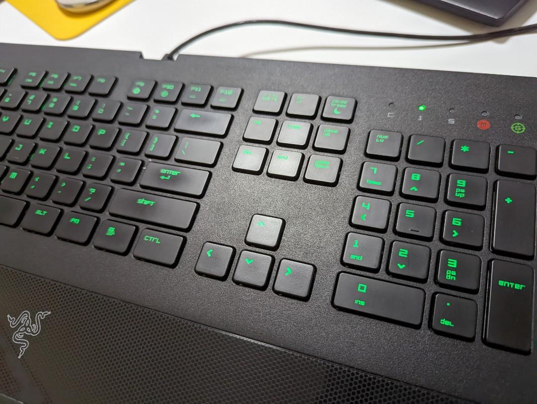 Razor Deathstalker Keyboard, Computers & Tech, Parts & Accessories ...