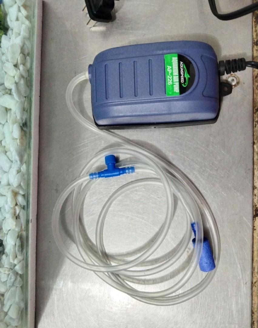 2.5 GALLON TANK SET A, Pet Supplies, Homes & Other Pet Accessories on ...