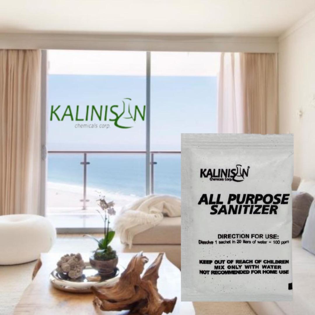 BEST BUY Kalinisan 10g All Purpose Sanitizer, Furniture & Home Living ...