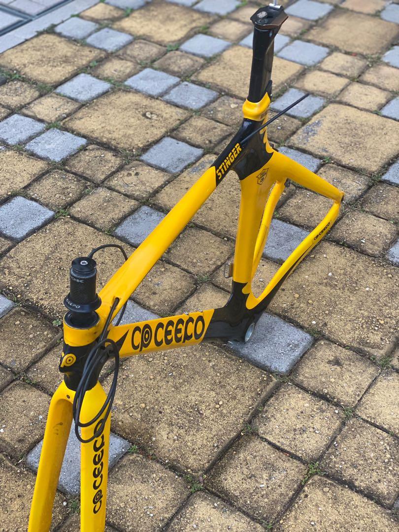 Ceepo Stinger Triathlon Frameset, Sports Equipment, Bicycles & Parts ...