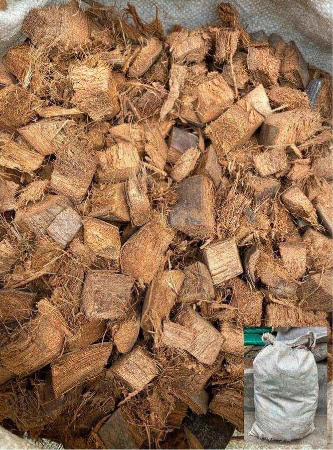 Coco Cubes 500 Gram by Ivy Rose Garden, Furniture & Home Living ...