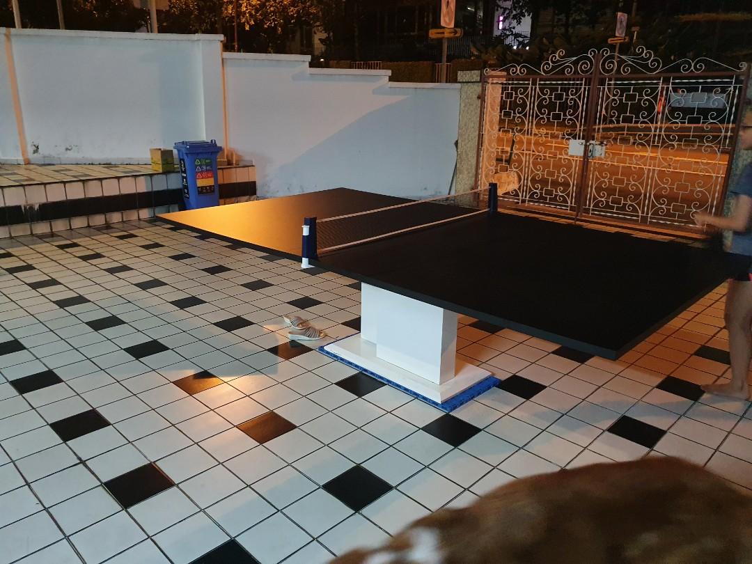 Customised Table Tennis wood panels., Sports Equipment, Sports & Games ...