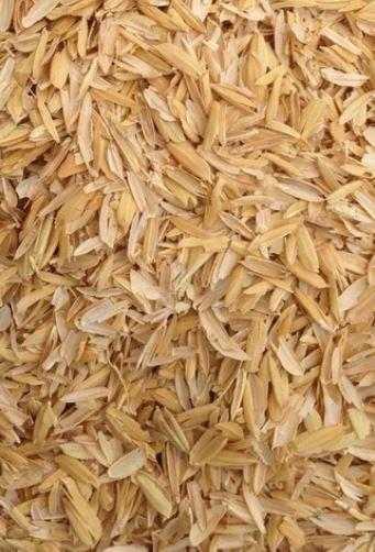 Fresh Rice Hull - 1kg by Ivy Rose Garden, Furniture & Home Living ...