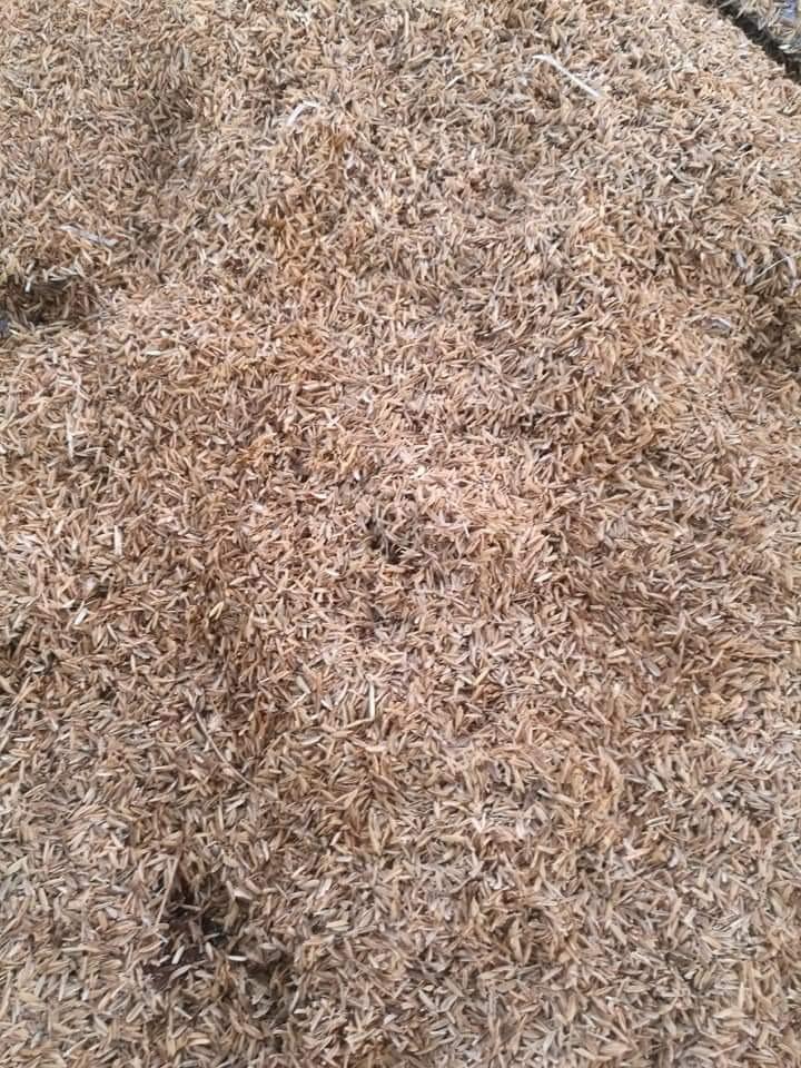 Fresh Rice Hull - 1kg by Ivy Rose Garden, Furniture & Home Living ...