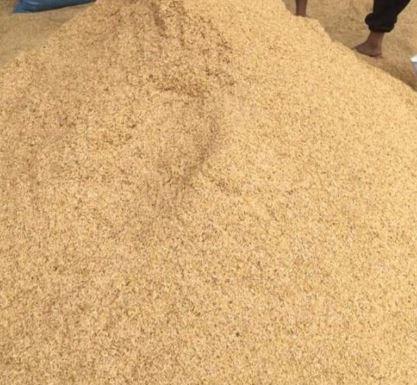 Fresh Rice Hull - 1kg by Ivy Rose Garden, Furniture & Home Living ...