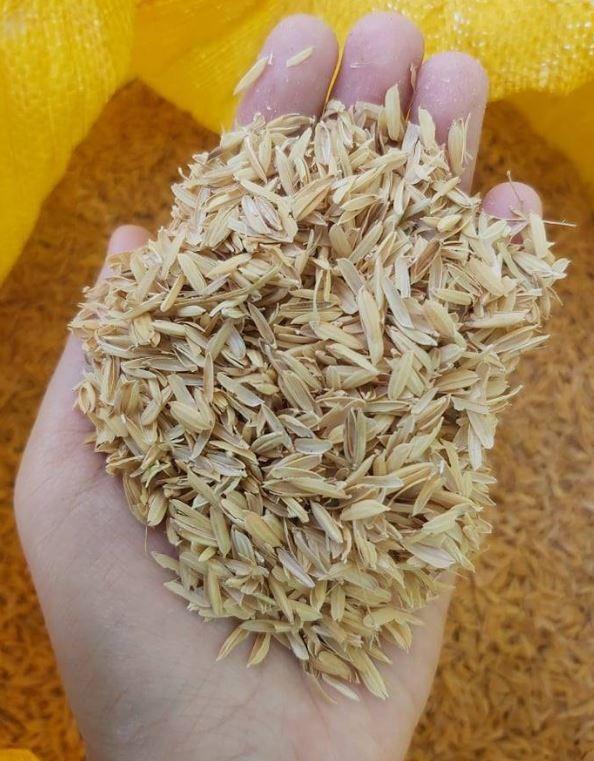 Fresh Rice Hull - 1kg by Ivy Rose Garden, Furniture & Home Living ...