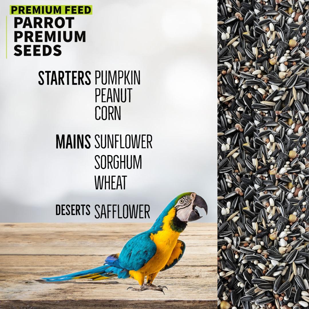 Parrot Premium Mix Feed 1kg | Bird feeds | Golden Cup, Pet Supplies ...