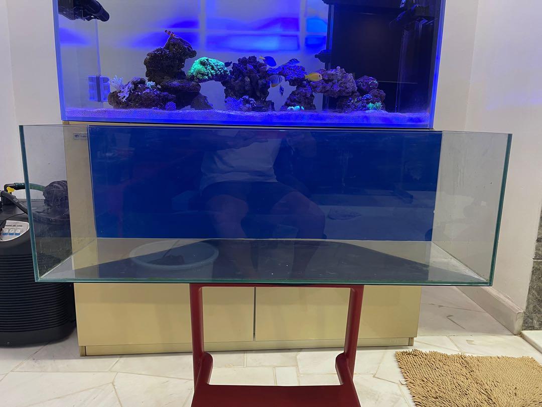 3ft x 1ft x1ft Fish tank. 90cm x 30cm x 30cm. Low profile tank, Pet ...