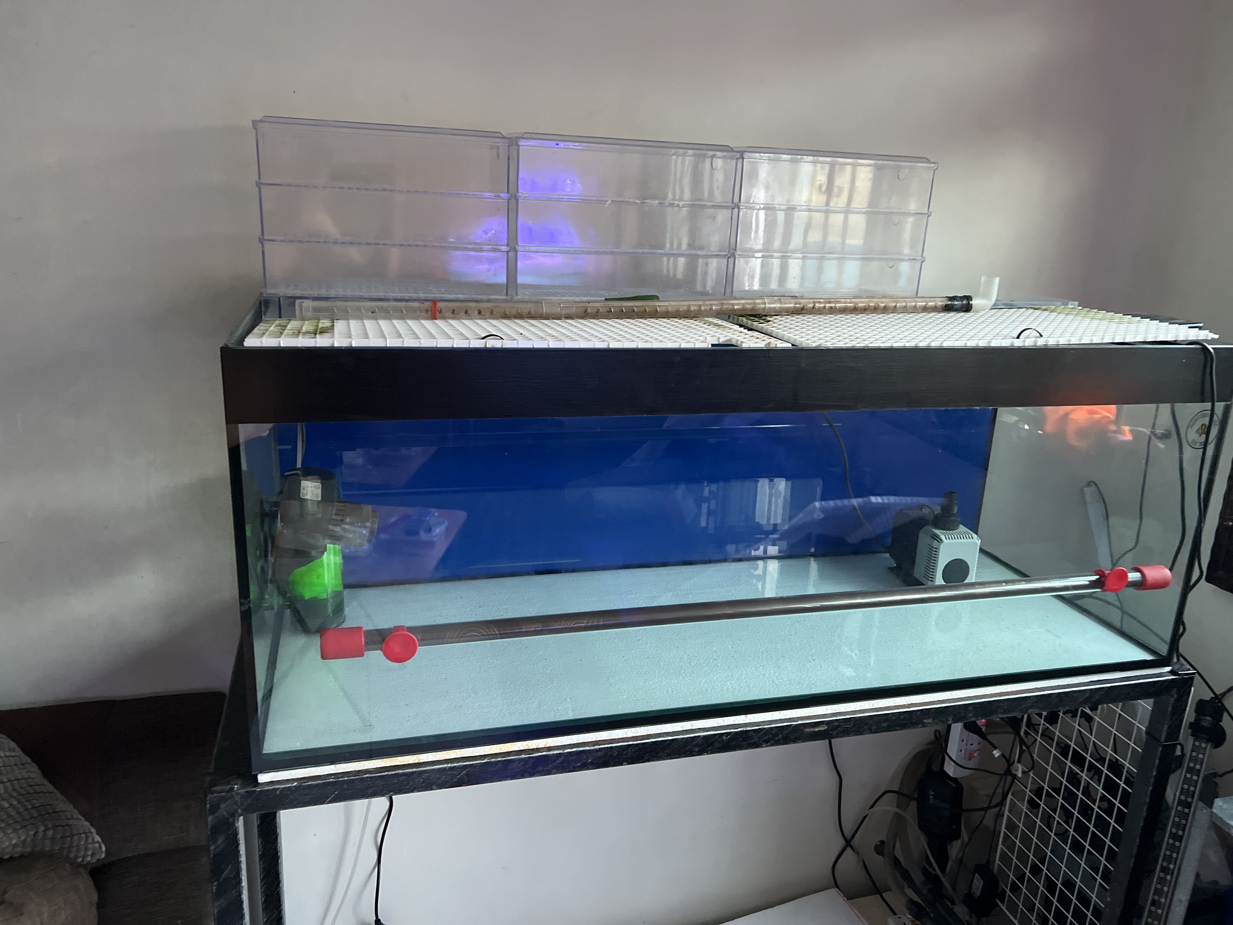 4ft tank with stand and accessories, Pet Supplies, Homes & Other Pet ...