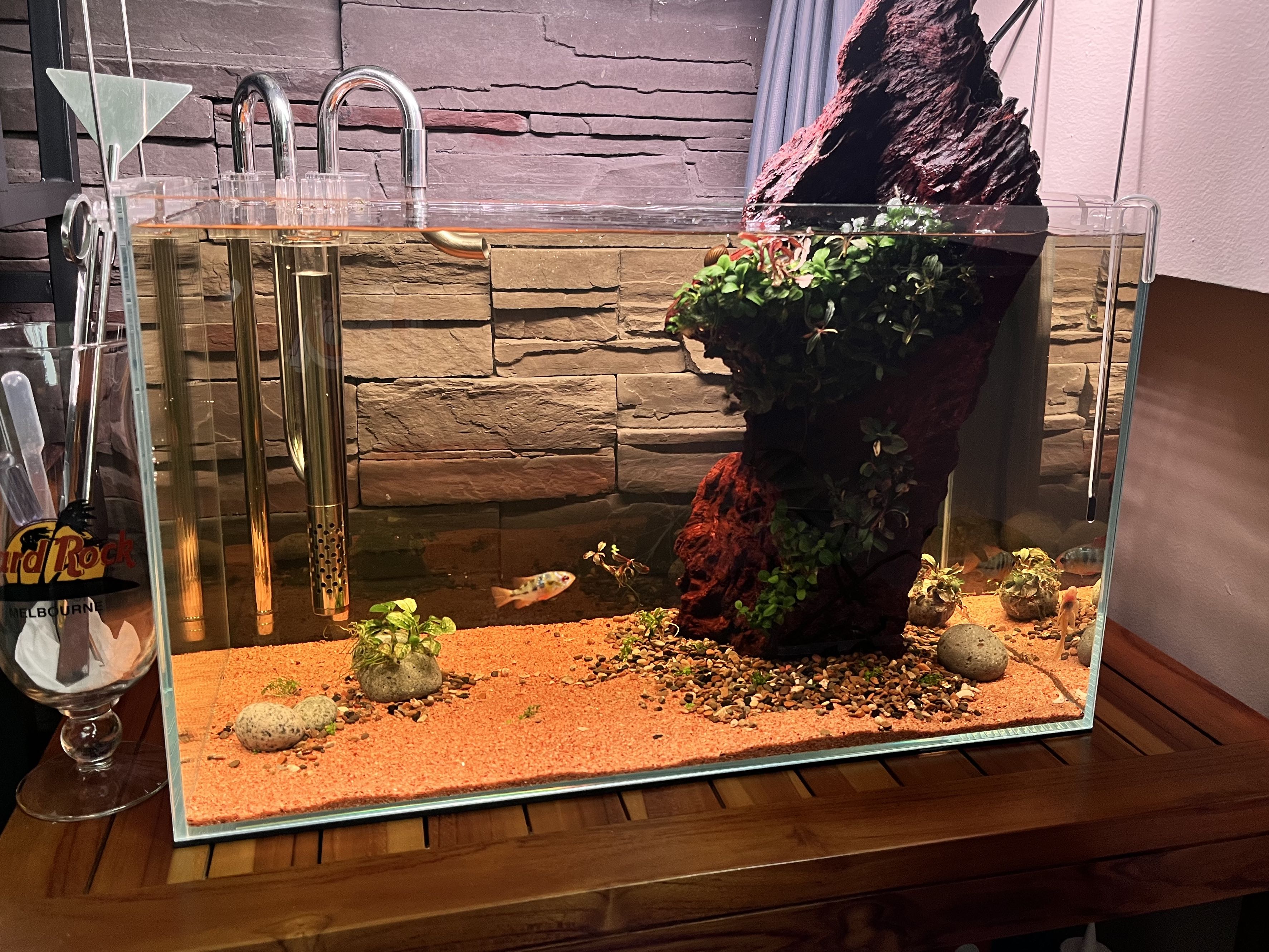 50CM Crystal Tank, Pet Supplies, Homes & Other Pet Accessories on Carousell