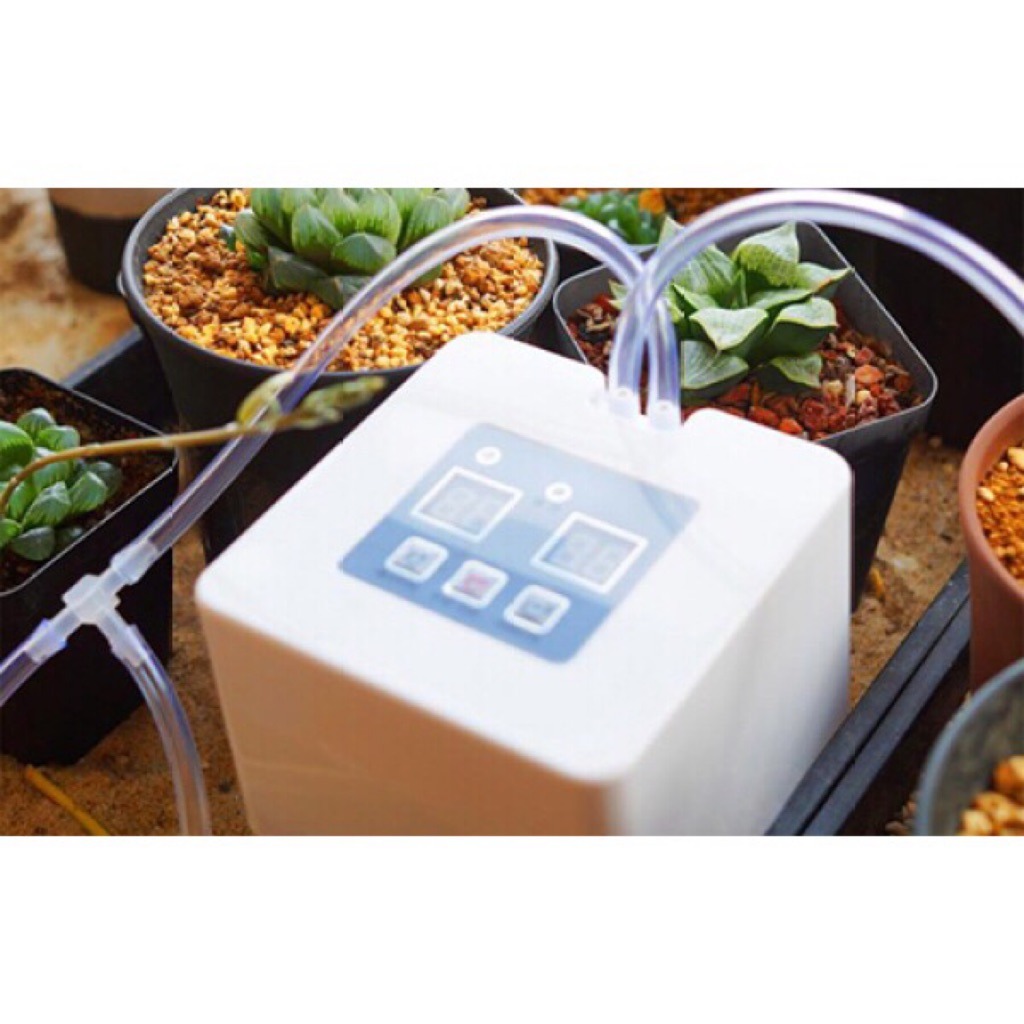 Automatic watering device, dripping spraying : gardening, terrarium ...