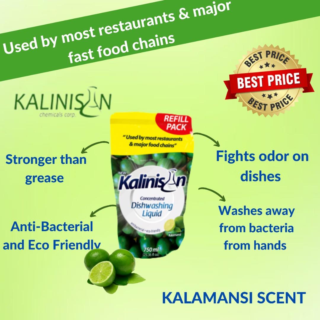BEST PRICE Kalinisan 750ml Dishwashing Liquid Kalamansi, Furniture ...