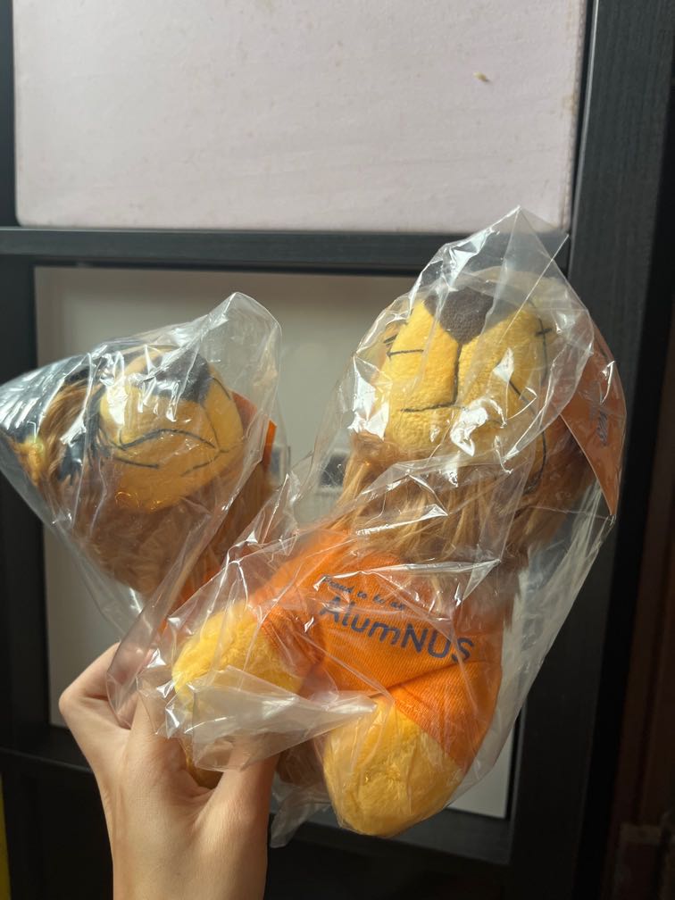 Brand new NUS AlumNUS LiNUS lion toy, Hobbies & Toys, Toys & Games on ...