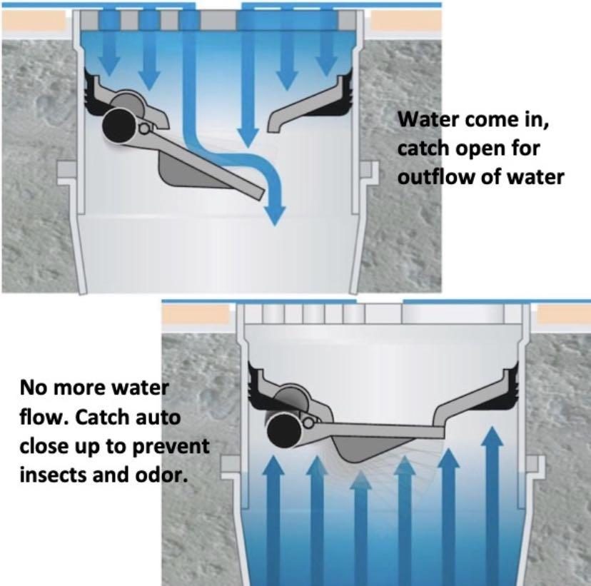 Designer Floor Trap, Furniture & Home Living, Bathroom & Kitchen ...