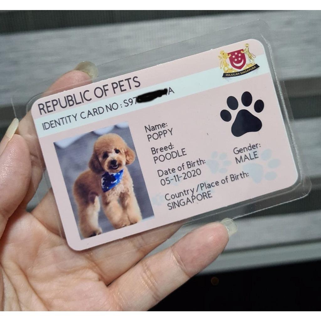 Pets Laminated ID IC Card / Good to bring along for vet visit and ...